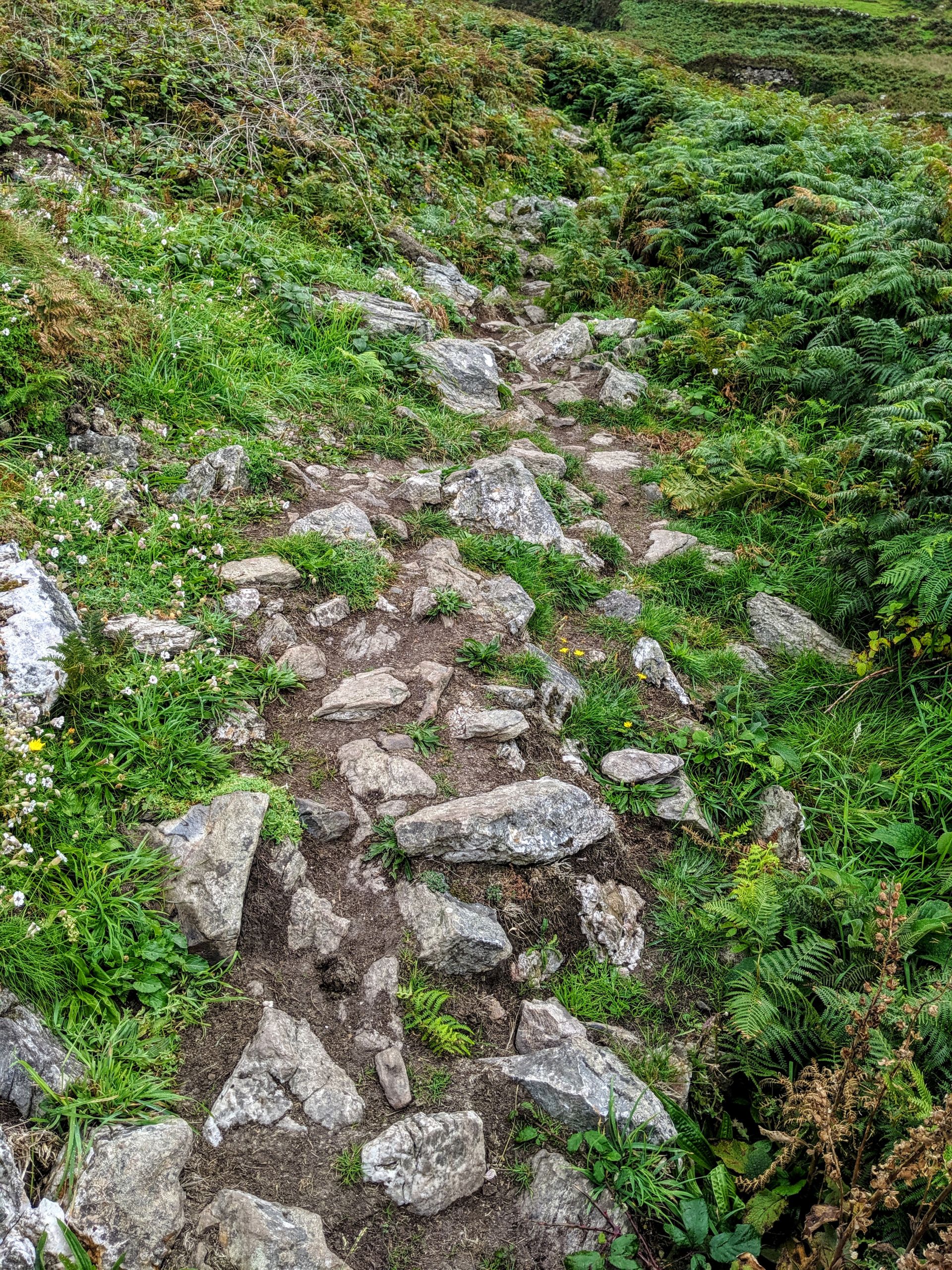 SOUTHWEST COAST PATH // ZENNOR HEAD – PENDEEN | Emmas happy little world