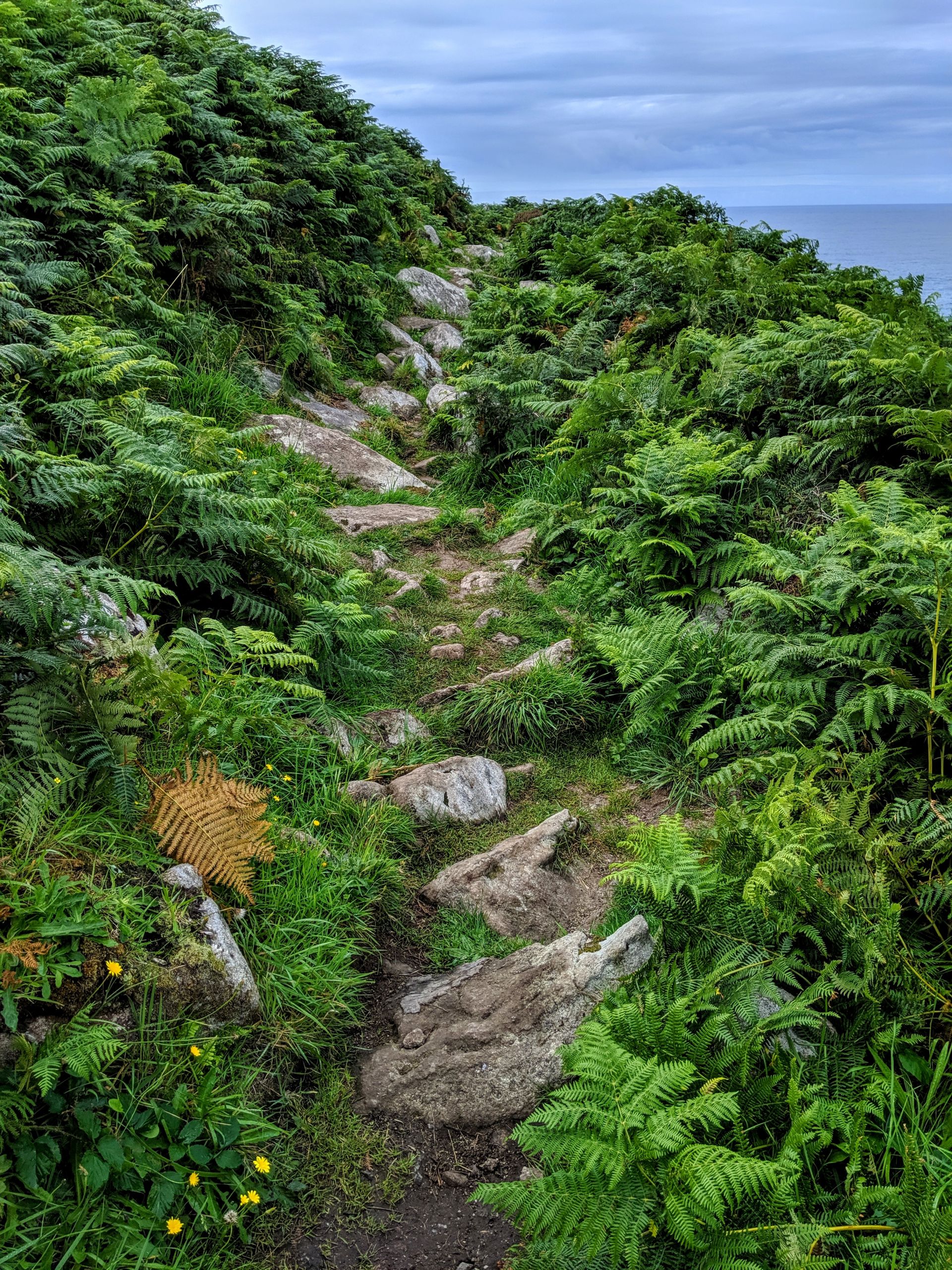 SOUTHWEST COAST PATH // ZENNOR HEAD – PENDEEN | Emmas happy little world